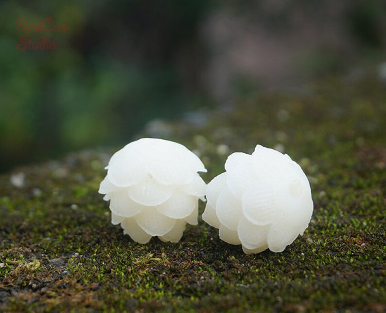 Natural Bodhi Seed 2 Bodhi Beads Carved Lotus white Bead - Etsy