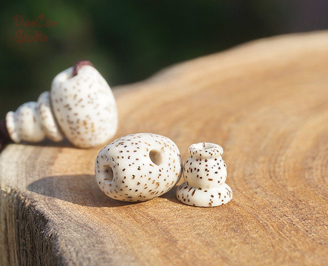Natural Bodhi Seed Guru Beads 2pcs Barrel Gray Dot Bodhi | Etsy