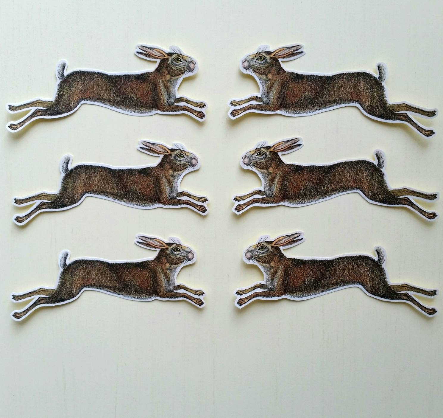 6 X Running Hare Stickers. Snail Mail Scrapbook Planner Journal ...
