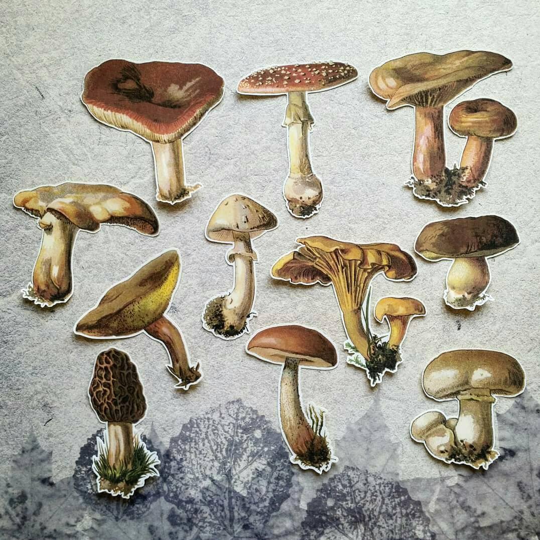 11 x mushroom stickers. Retro. Vintage. Snail mail collage | Etsy
