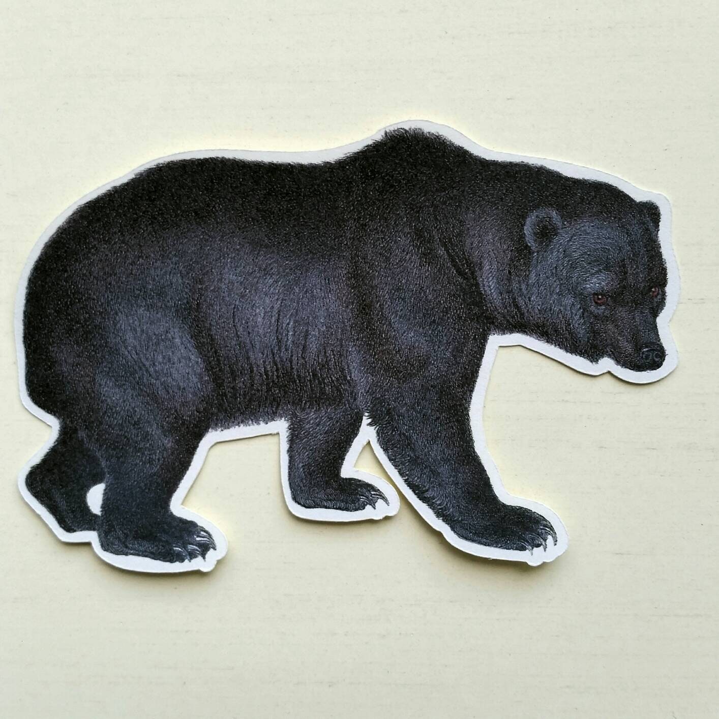 6 X Black Bear Stickers. Cute Stickers. Woodland. Snail Mail - Etsy UK
