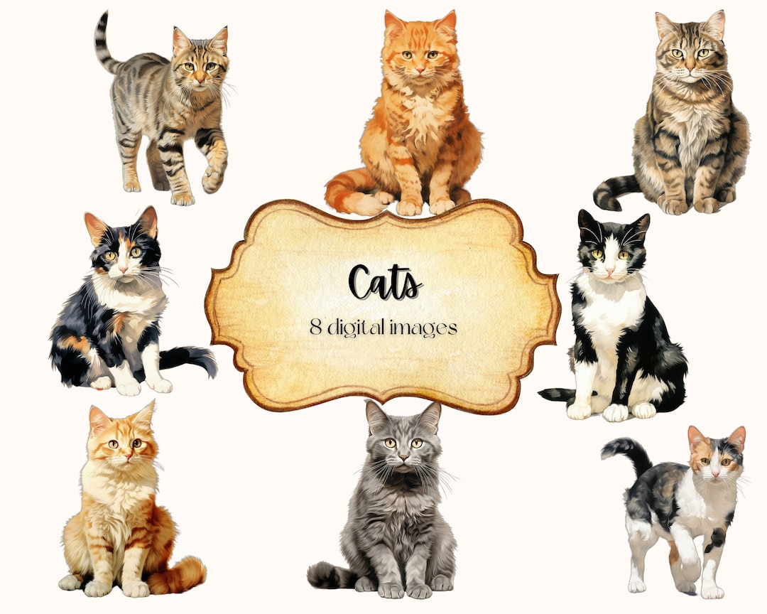 8 Cats - DIGITAL DOWNLOAD - Etsy