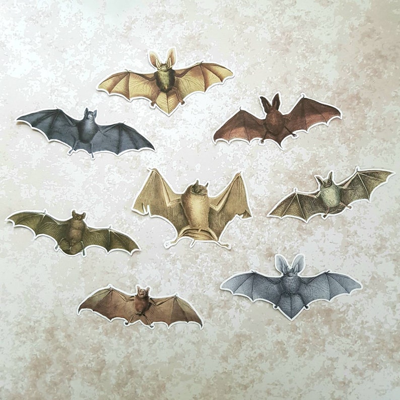 Bat Stickers | Set of 8 | Vintage Style | Snail Mail | Scrapbook ...
