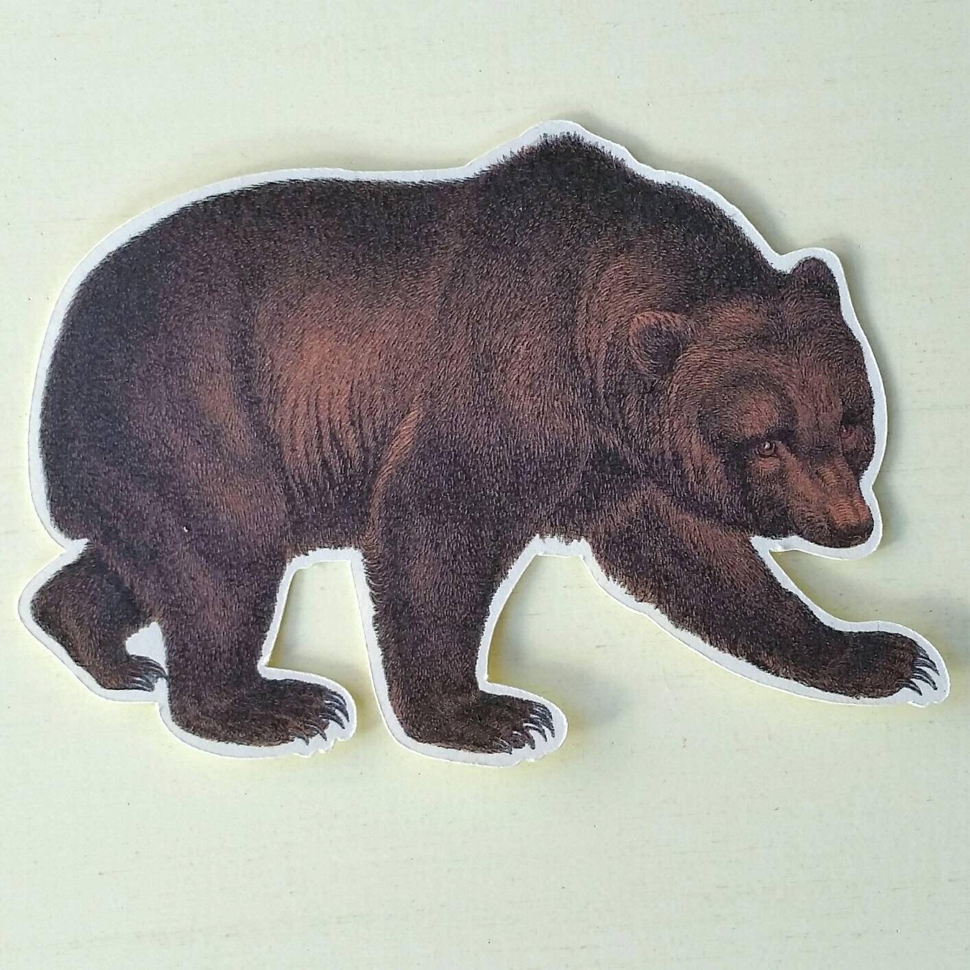 6 X Brown Bear Stickers. Cute Stickers. Woodland. Snail Mail - Etsy UK