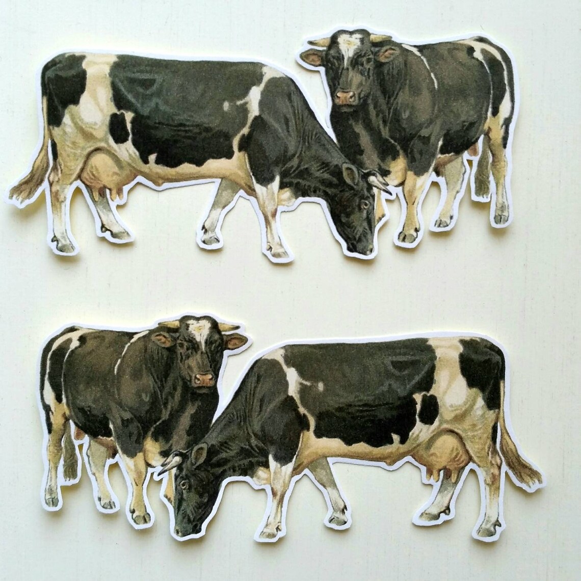 6 X Holstein Cow & Bull Stickers. Farm. Snail Mail Hobonichi | Etsy