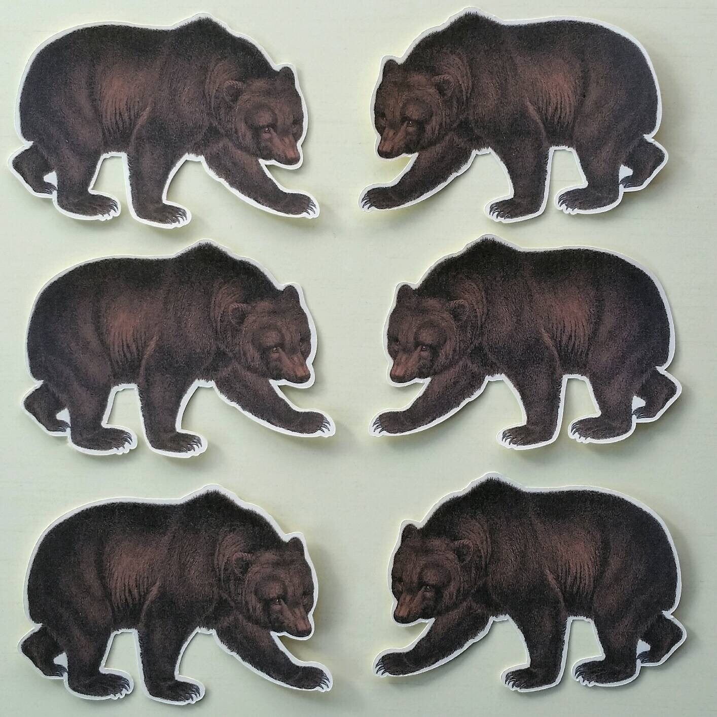 6 x Brown Bear stickers. Cute stickers. Woodland. Snail mail | Etsy