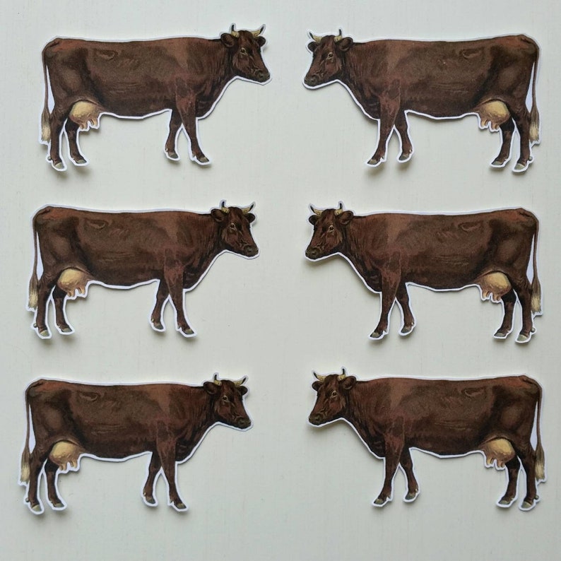 6 X Brown Swiss Cow Stickers. Farm. Snail Mail Scrapbook Planner ...