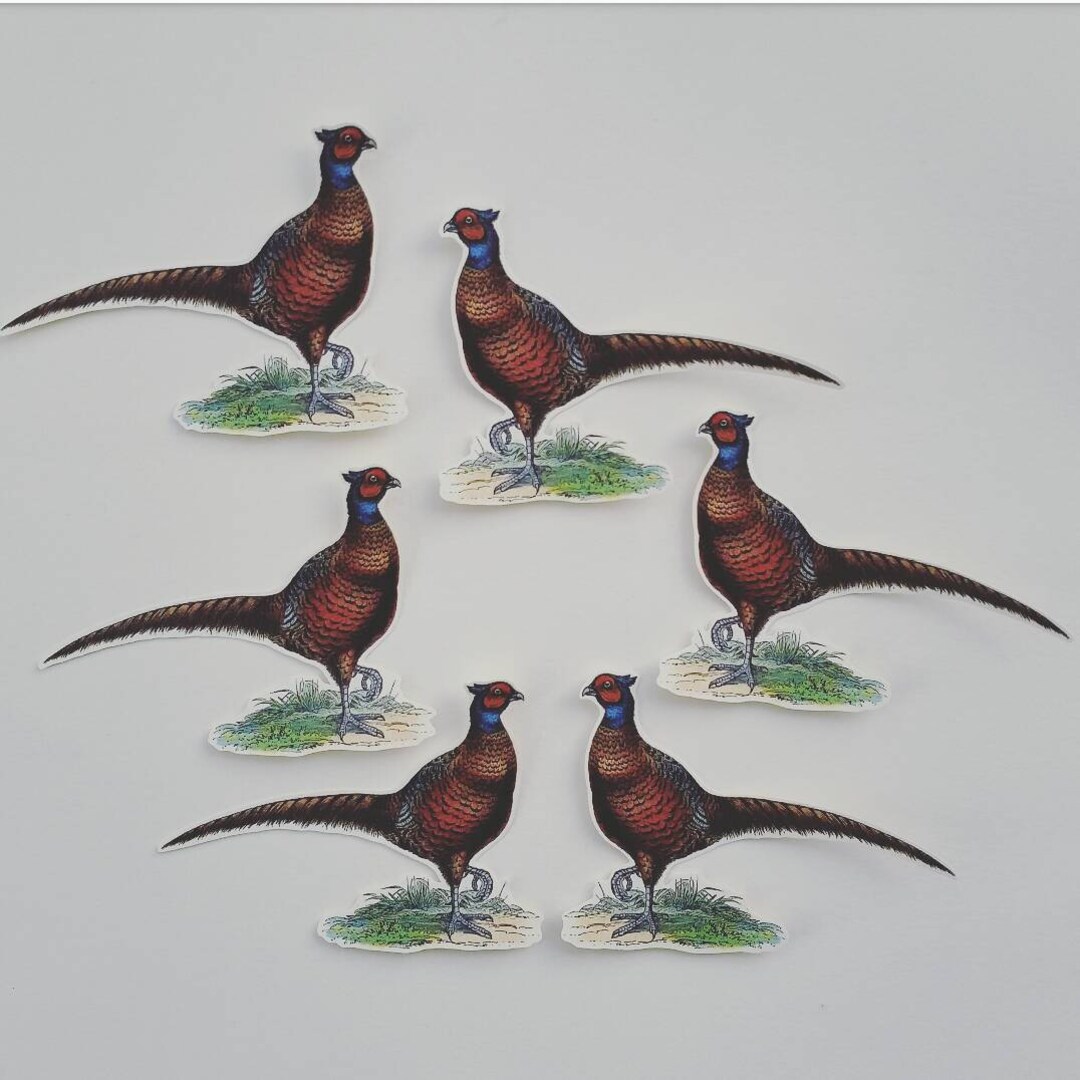 6 X Pheasant Stickers. Snail Mail Scrapbook Planner Journal Decorations ...