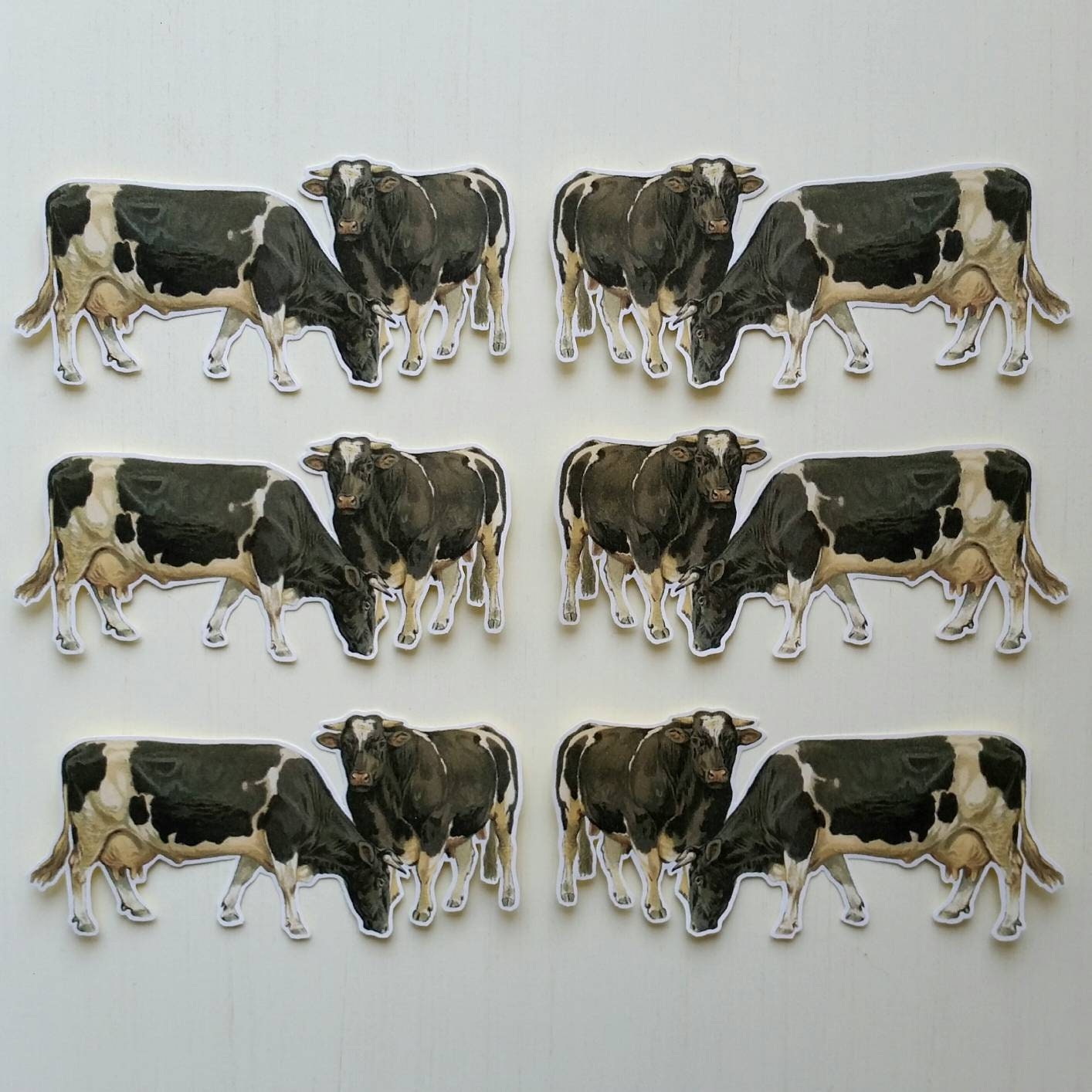 6 X Holstein Cow & Bull Stickers. Farm. Snail Mail Hobonichi | Etsy