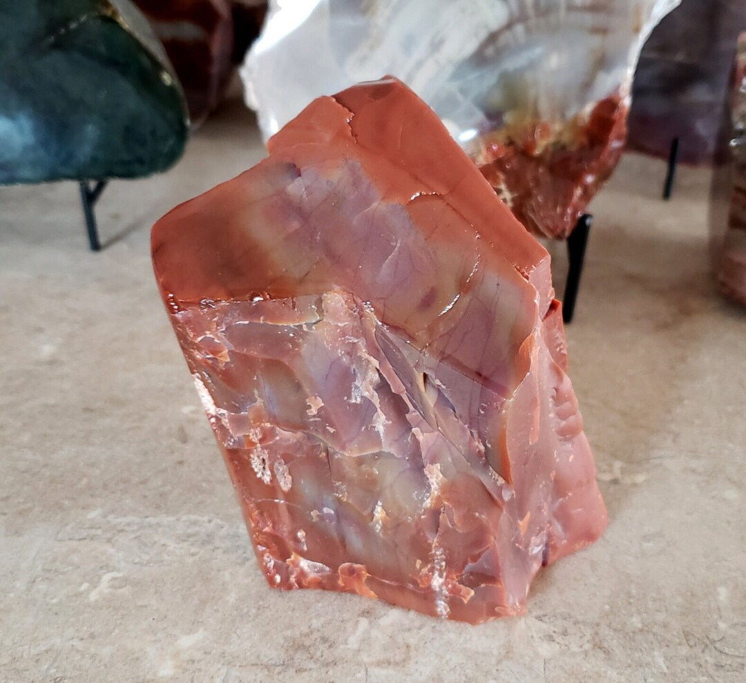 970g Petrified Wood - Etsy