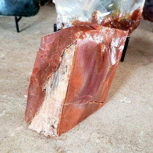 970g Petrified Wood - Etsy