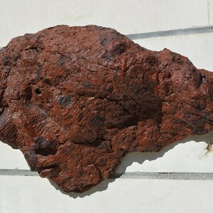 TALKING HEADS V - Original Stone Wall Sculpture by Ognyan Chitakov - Etsy