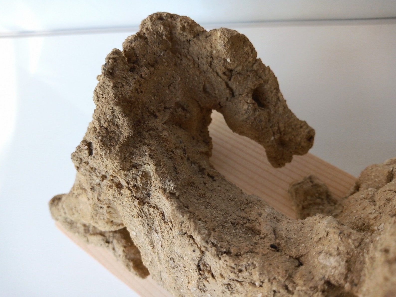 HORSE Original Clay Sculpture by Rossitza Trendafilova - Etsy