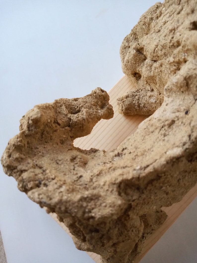 HORSE Original Clay Sculpture by Rossitza Trendafilova - Etsy