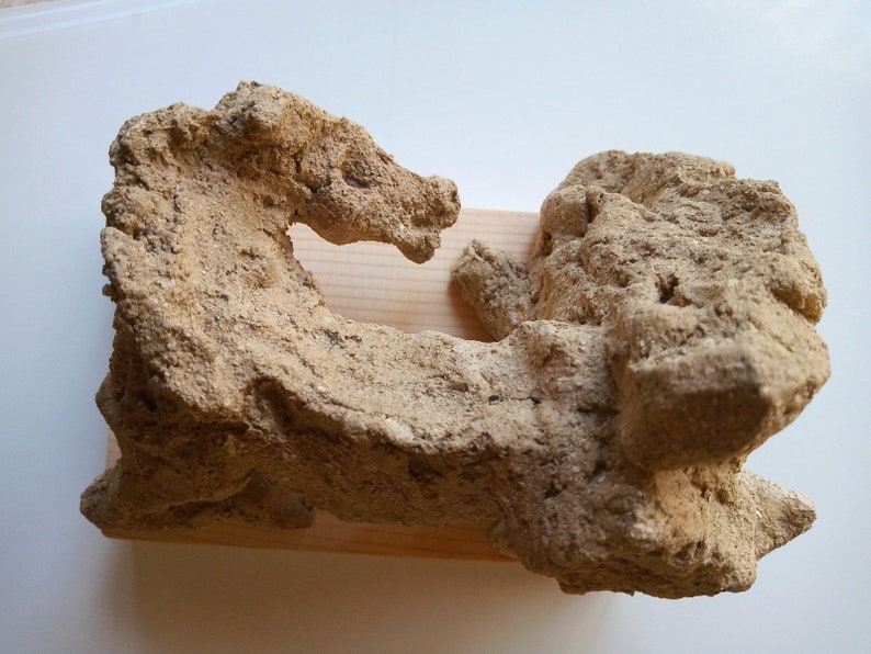 HORSE Original Clay Sculpture by Rossitza Trendafilova - Etsy