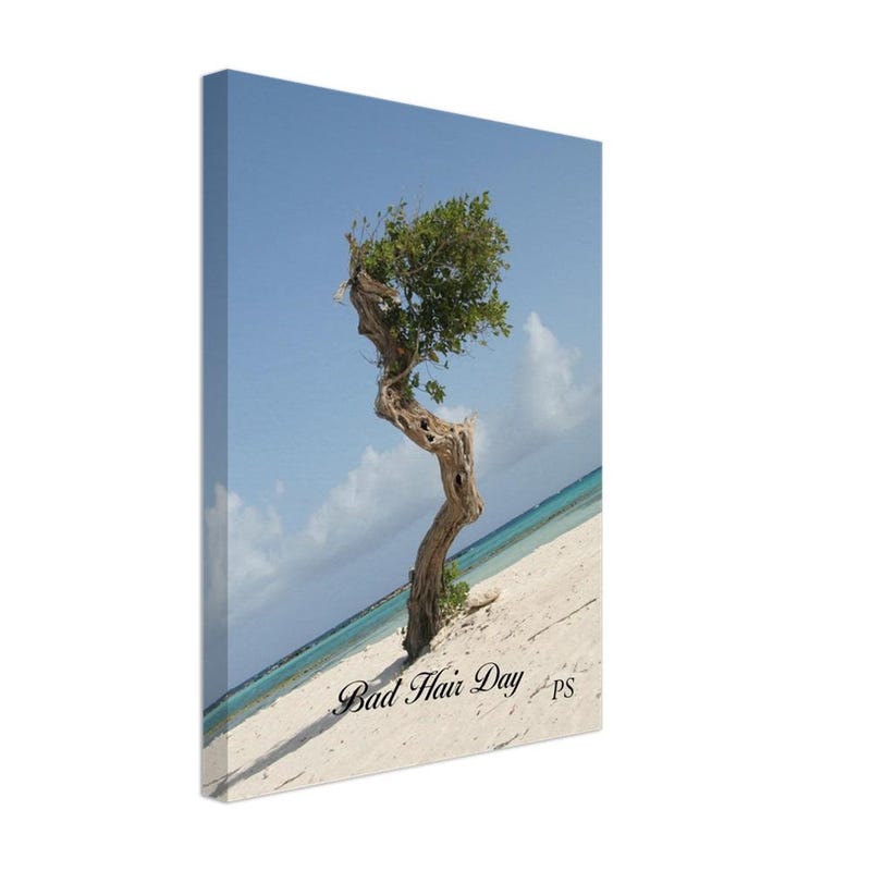 Divi Tree - Etsy