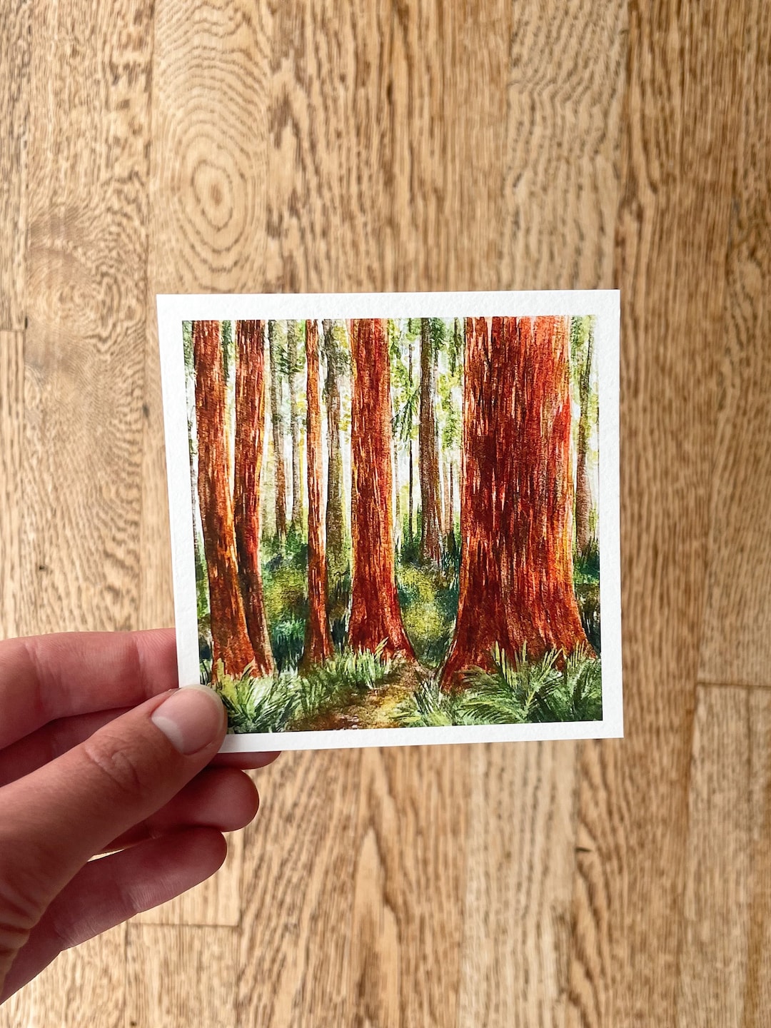 4x4 Redwood National Park, California Giclee Mini Landscape Watercolor ...