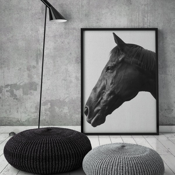 Black Stallion Poster - Etsy