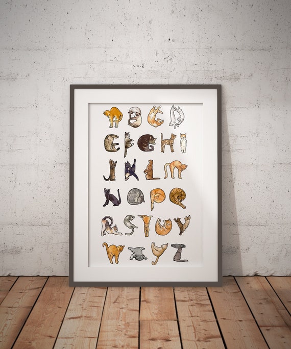 Cat Alphabet ABC A4 Illustration Art Print Poster Childs Babys - Etsy