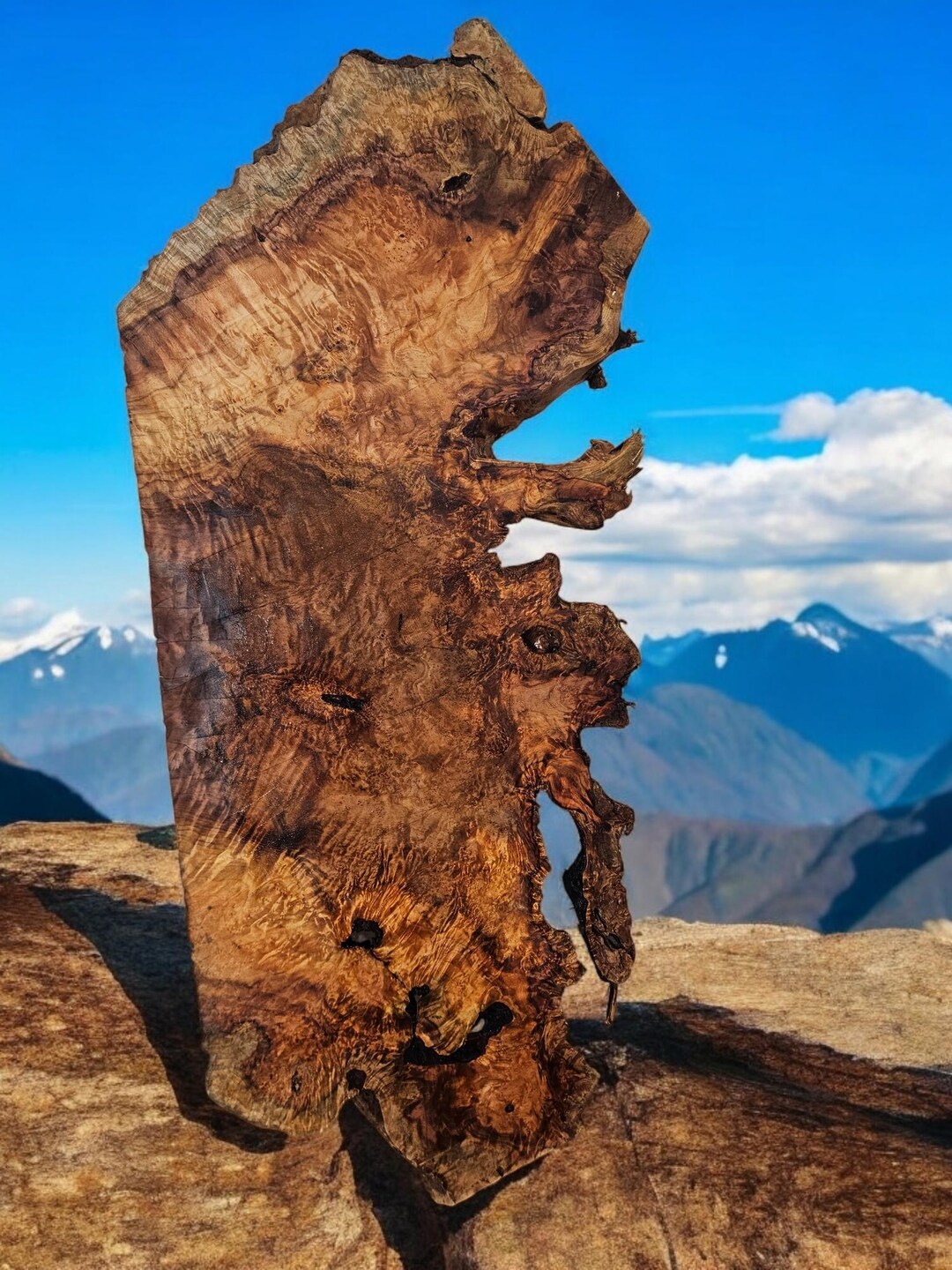 RARE Sequoia Slab/resin Table Slab/woodworking/ Wall Art/bar Table Slab ...