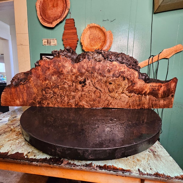 Burl Wall Art - Etsy