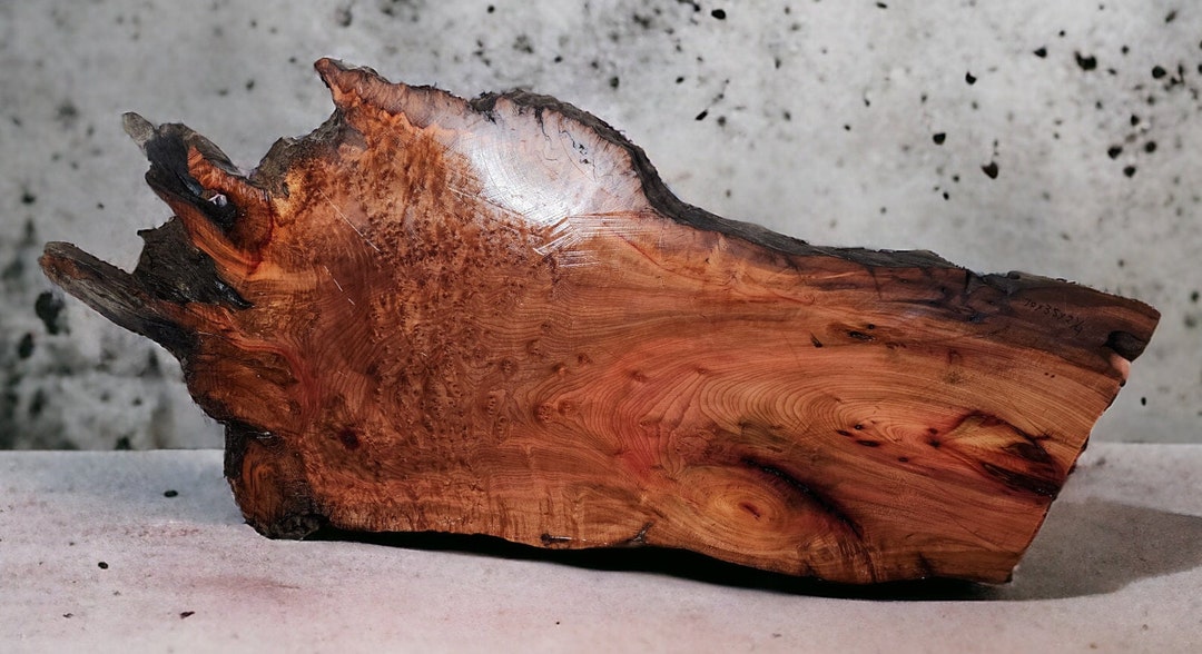 Live Edge Madrone Burl Slab/wall Art/diy/epoxy Table Slab/resing Table ...