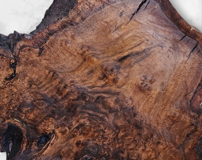 Large Claro Walnut Burl Slab/bar Table Slab/resin Table Slab/table Slab ...