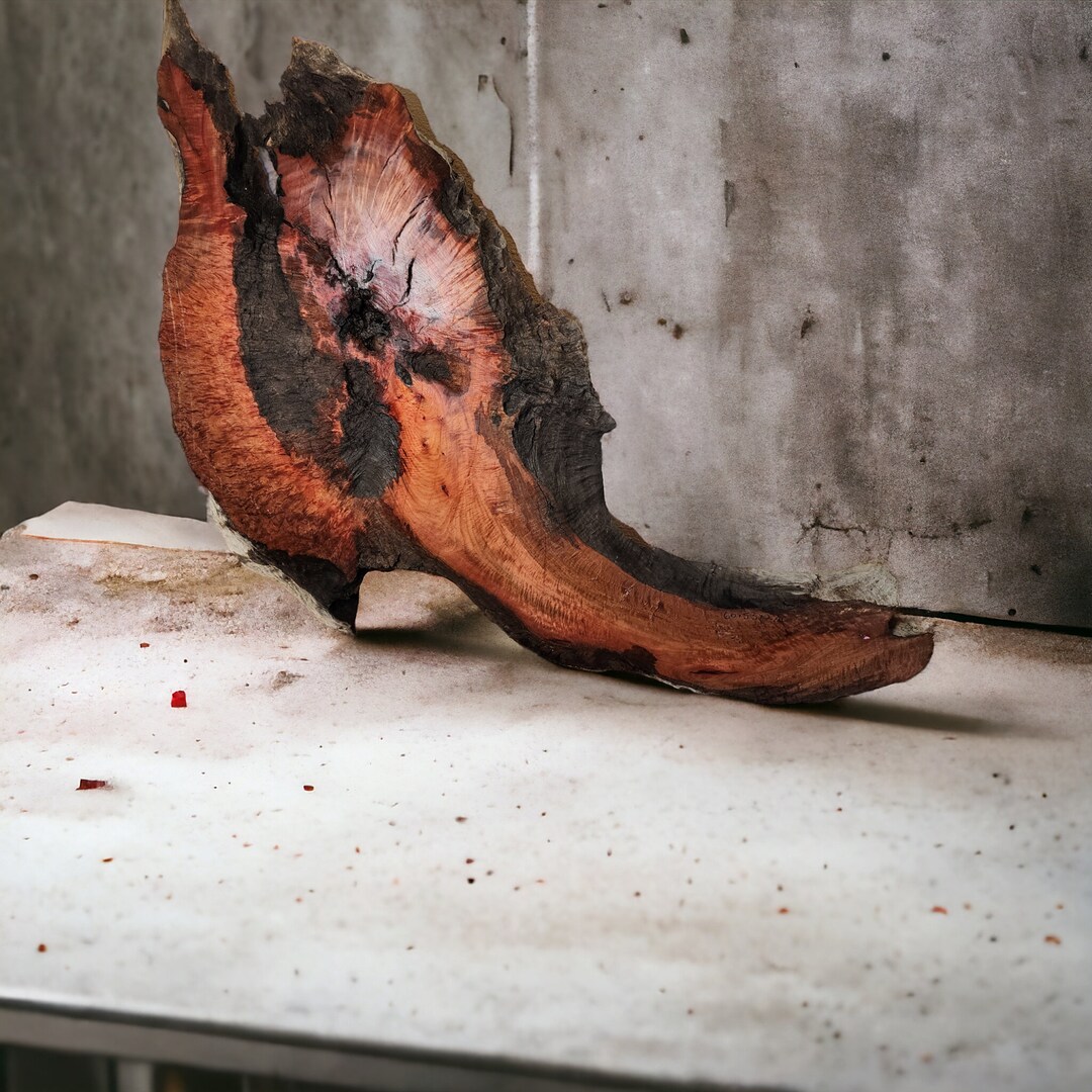 Live Edge Madrone Burl Slab/diy/epoxy Table Slab/resin Table Slab/wall ...