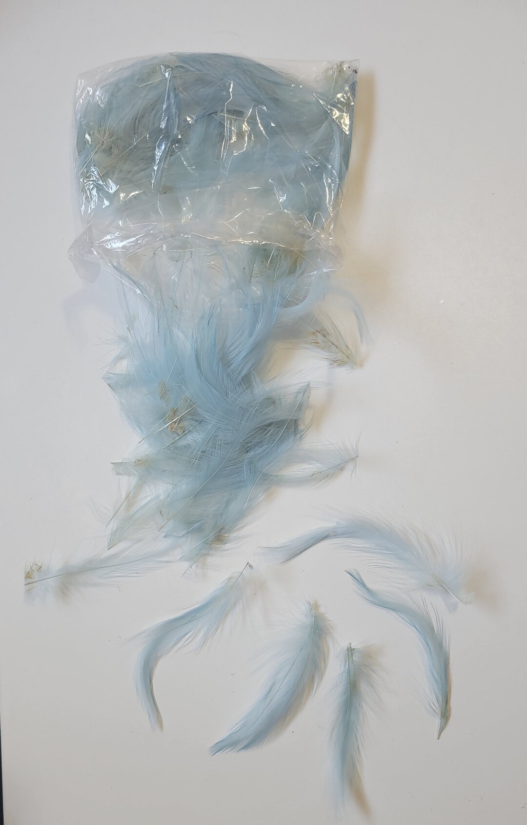 Lot Feathers Cobalt Blue Bird Feathers DIY Craft Fashion Design Sewing ...