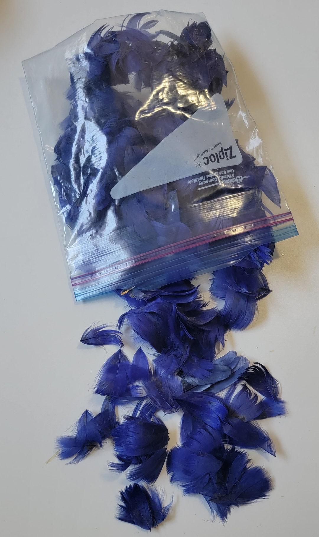 Lot Feathers Cobalt Blue Bird Feathers DIY Craft Fashion Design Sewing ...