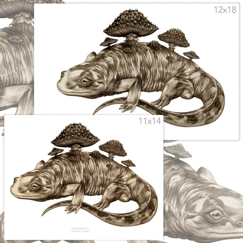 Adaptations (tiger Salamander & Amanita Mushrooms) - Fine Art Print - Etsy
