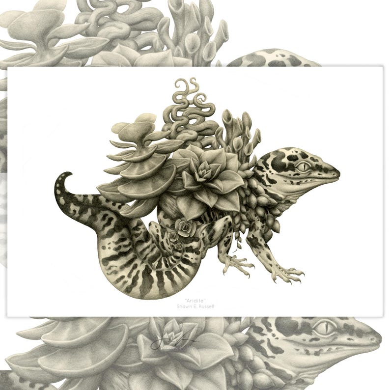 Aridite (leopard Gecko + Succulents) - Fine Art Print - Etsy