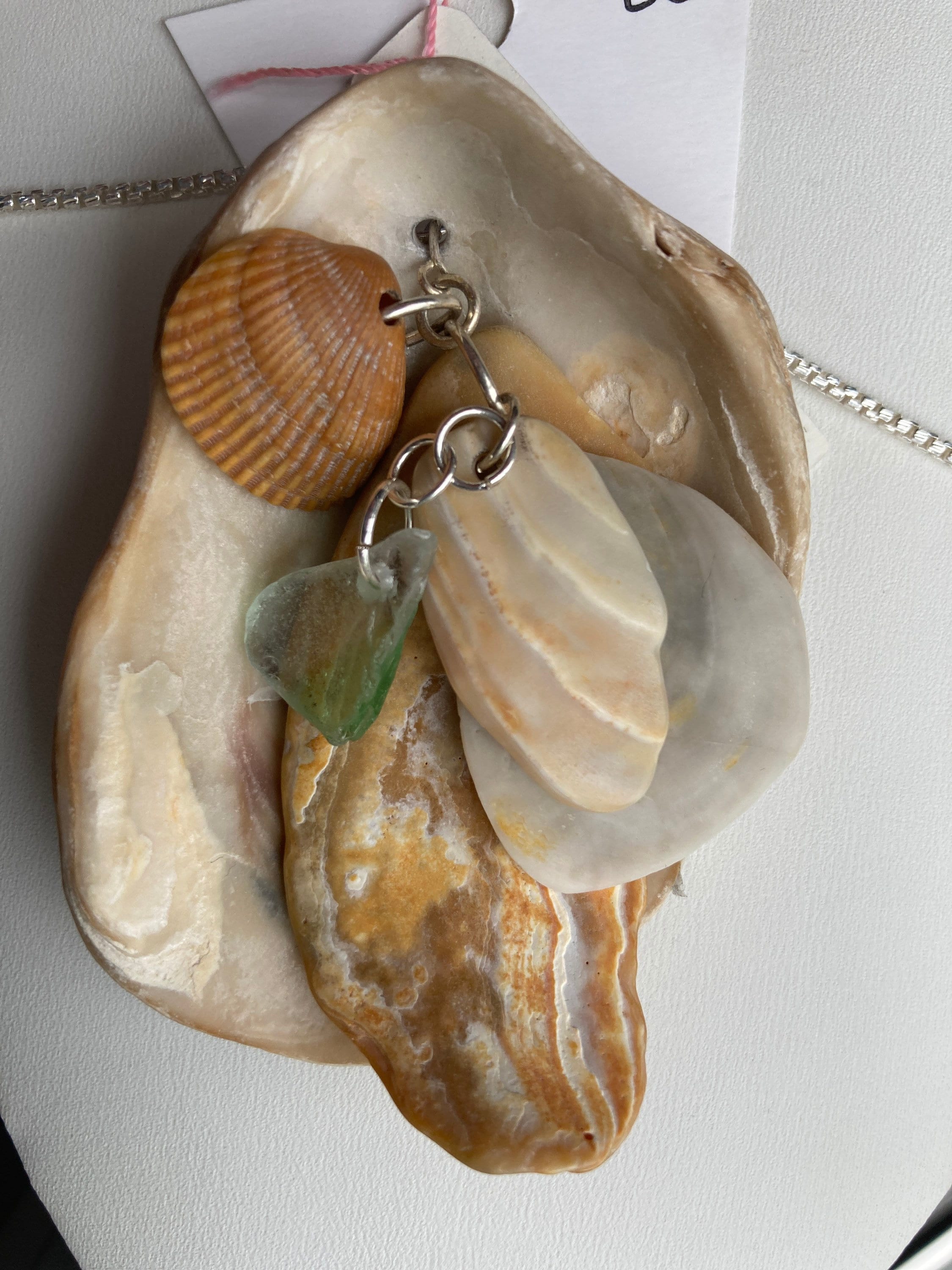 Sea Shell Pendant Necklace, Sea Shells Clustered With a Piece of Green ...