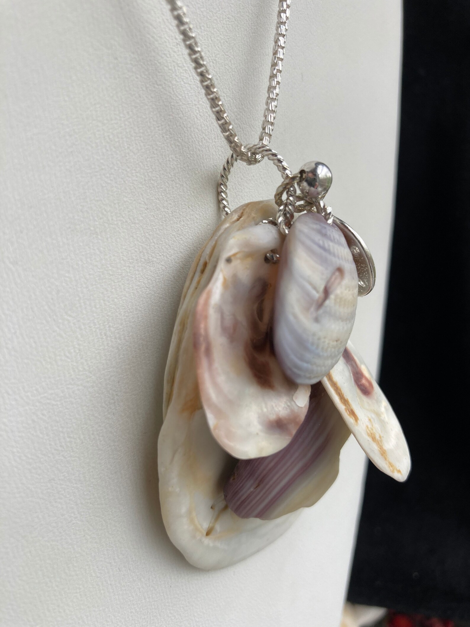 Sea Shell Pendant Necklace, Ocean Shells Clustered With a Sterling ...
