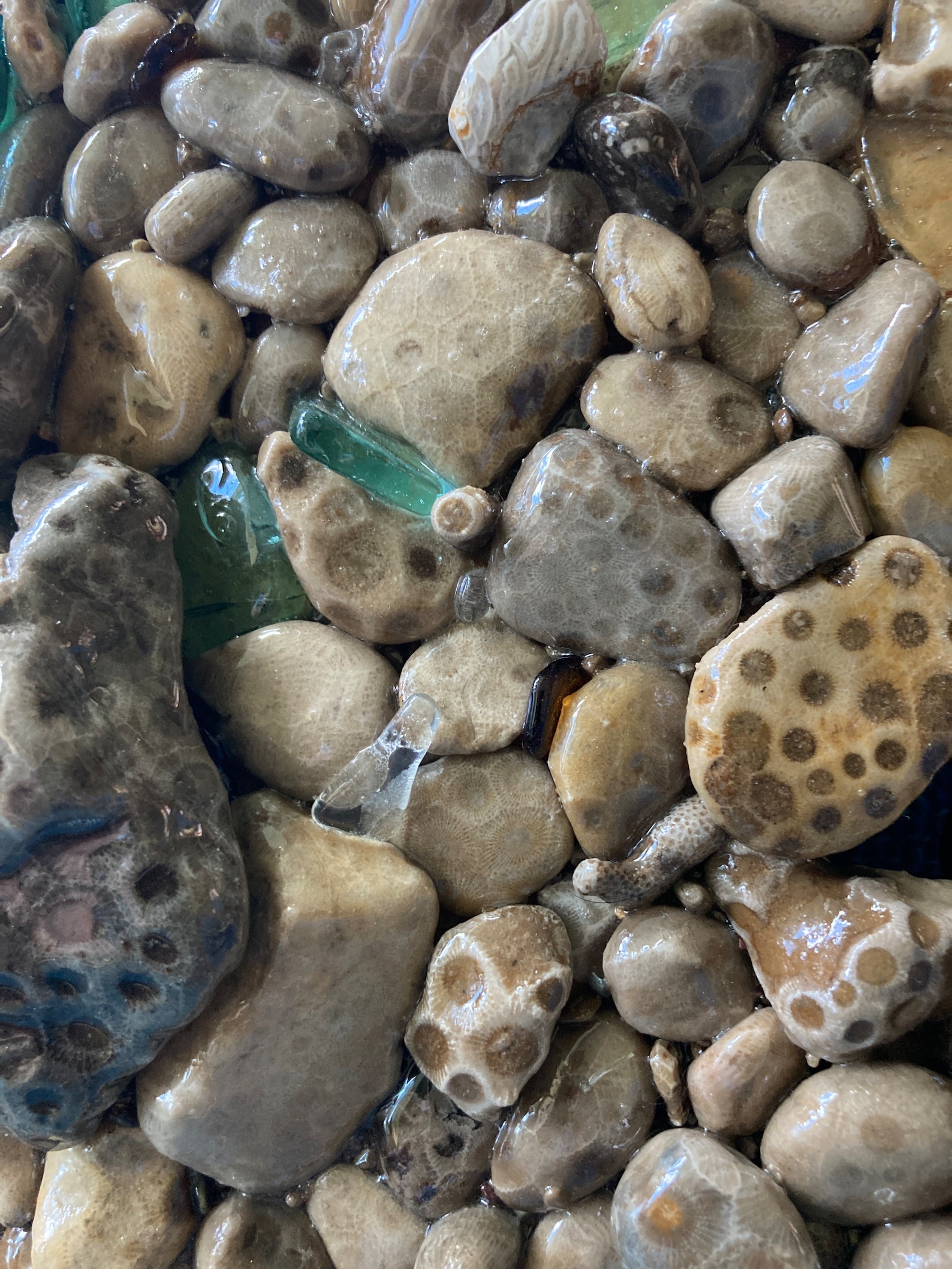 Petoskey Stones State of Michigan Wall Art, Great Lakes Rocks Wall ...