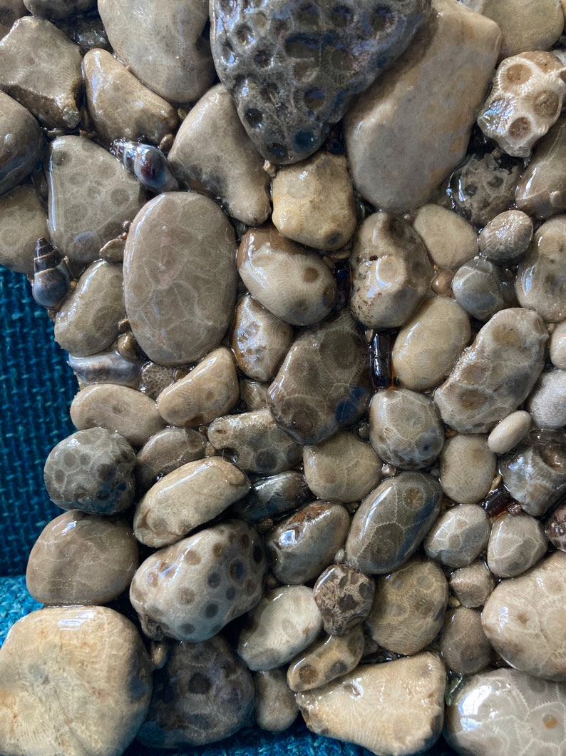 Petoskey Stones State of Michigan Wall Art, Great Lakes Rocks Wall ...
