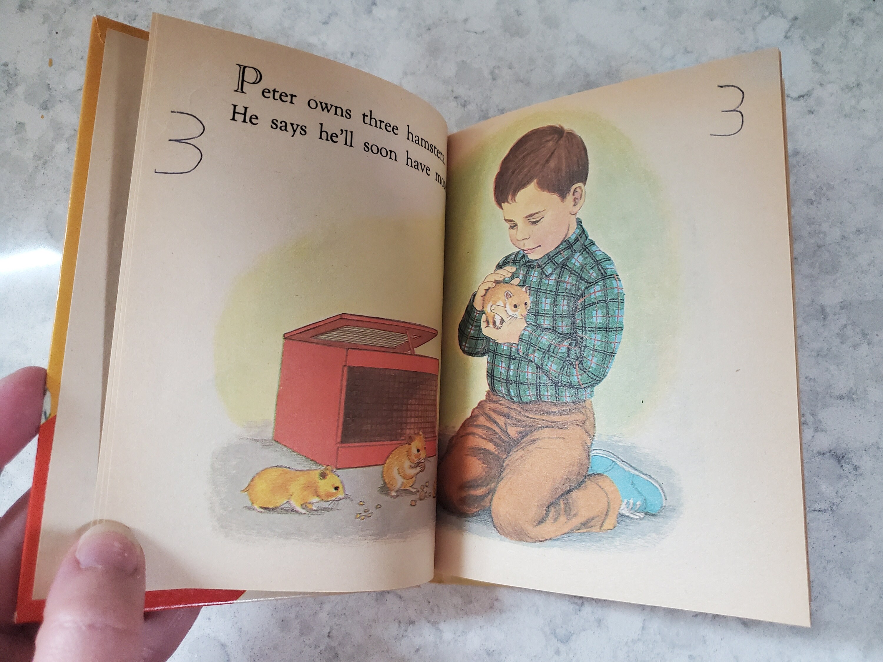 Vintage 1960s Pet Parade Counting Book, Rand Mcnally - Etsy