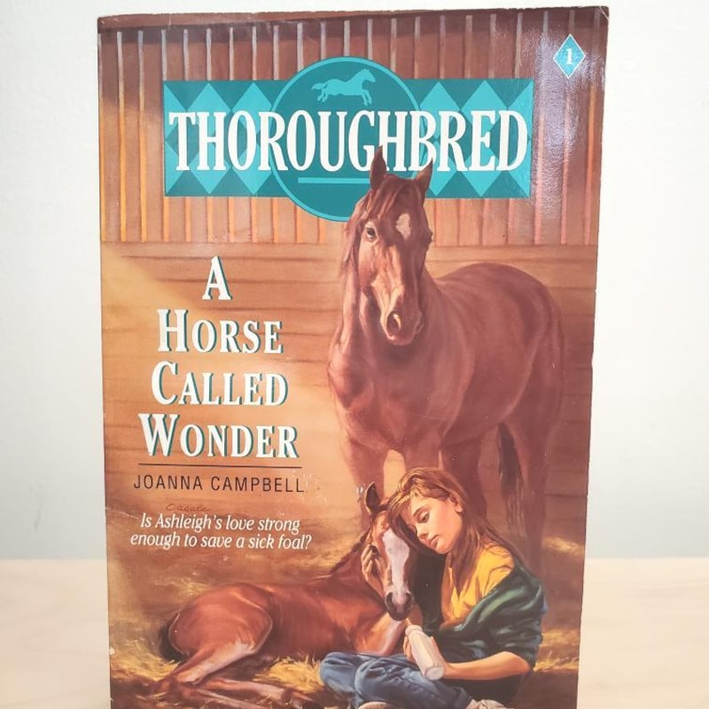 Wonder Horse Vintage - Etsy