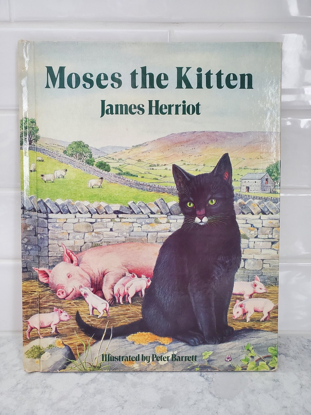 Vintage 80's Illustrated James Herriott Book Moses the Kitten ...
