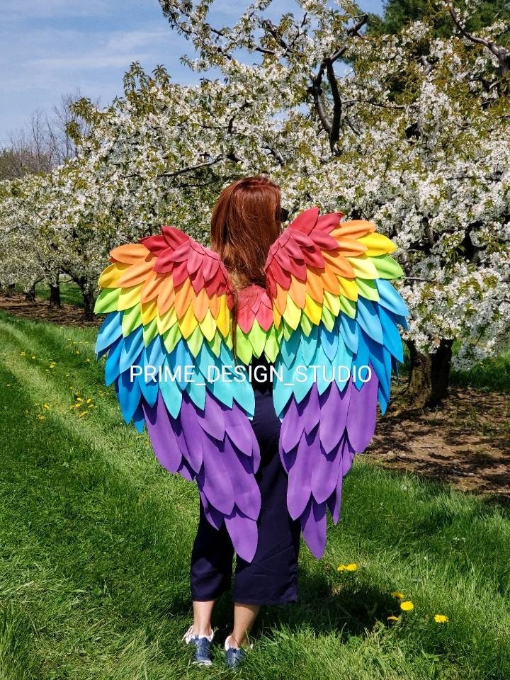 Beautiful Rainbow Colour Wings - Etsy
