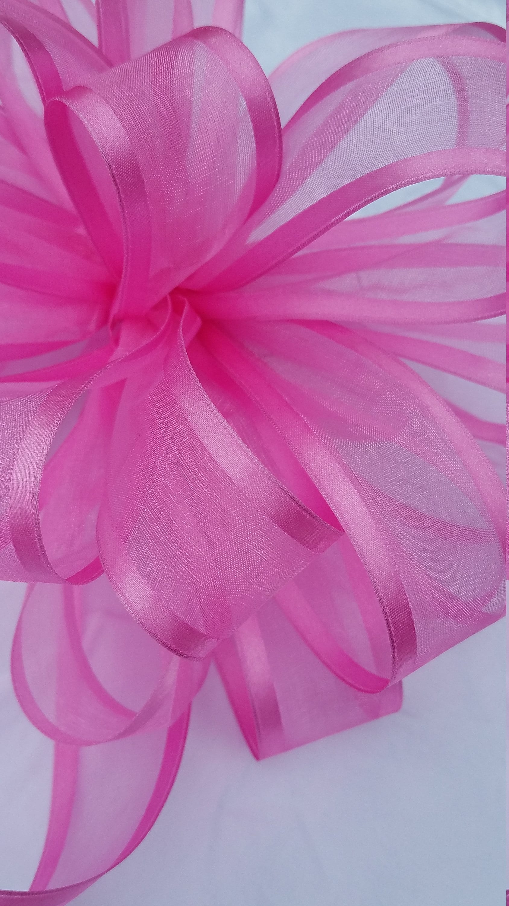 Satin Edge Sheer Bow Shown in Pink Azalea ~ Available in Other Colors ...