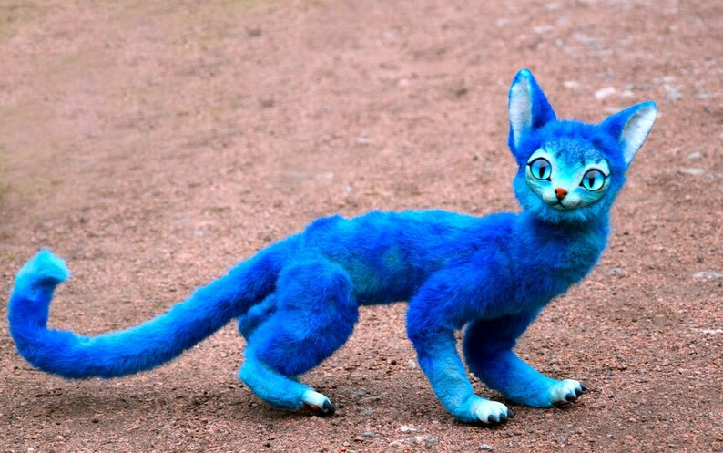 The magic cat | Etsy