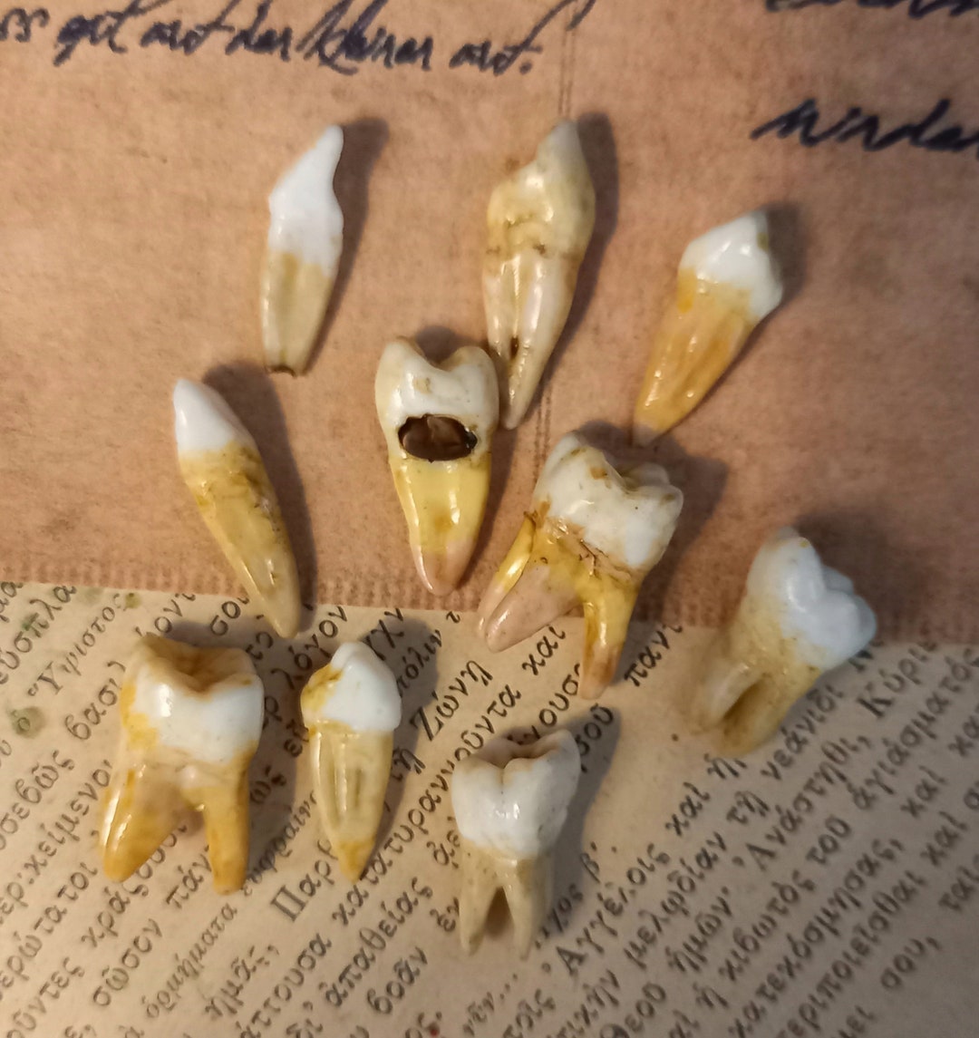 Paper, Horror, Curiosity, Human Teeth, Human Teeth - Etsy