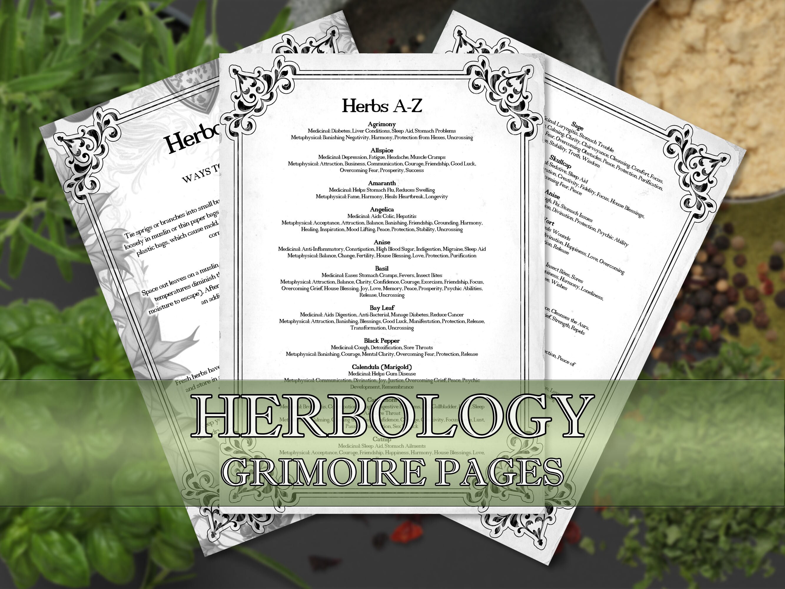 Herbology Cheat Sheets for Beginners Grimoire Pages - Etsy