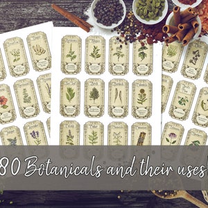 Old-fashioned Antique Apothecary Spice Jar Labels With Correspondences ...