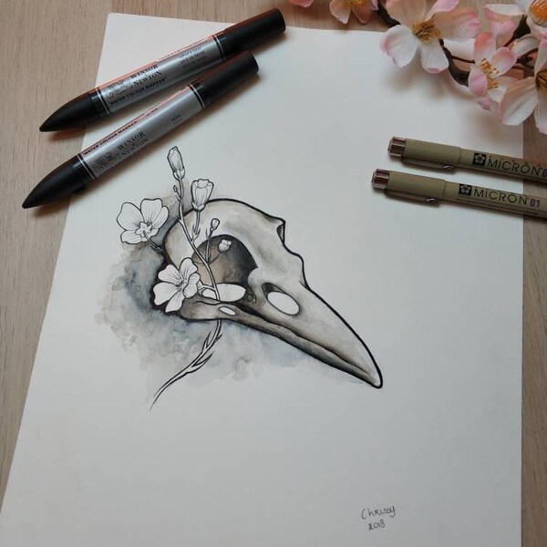 Bird Skull Drawing - Etsy