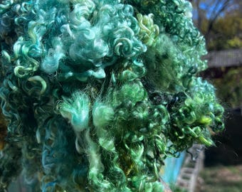 Hand Dyed Wool Locks Curls Blue Faced Leicester Assorted Earthy Pastels ...