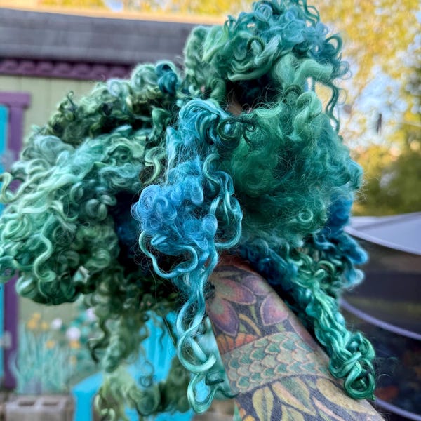 Wool Locks - Etsy