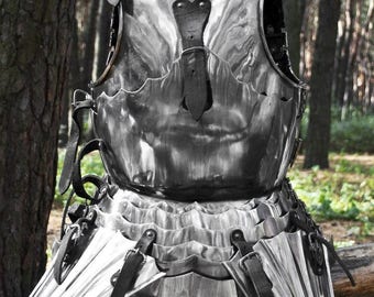 Medieval Knight's Armor Set SCA LARP steel armor fantasy | Etsy