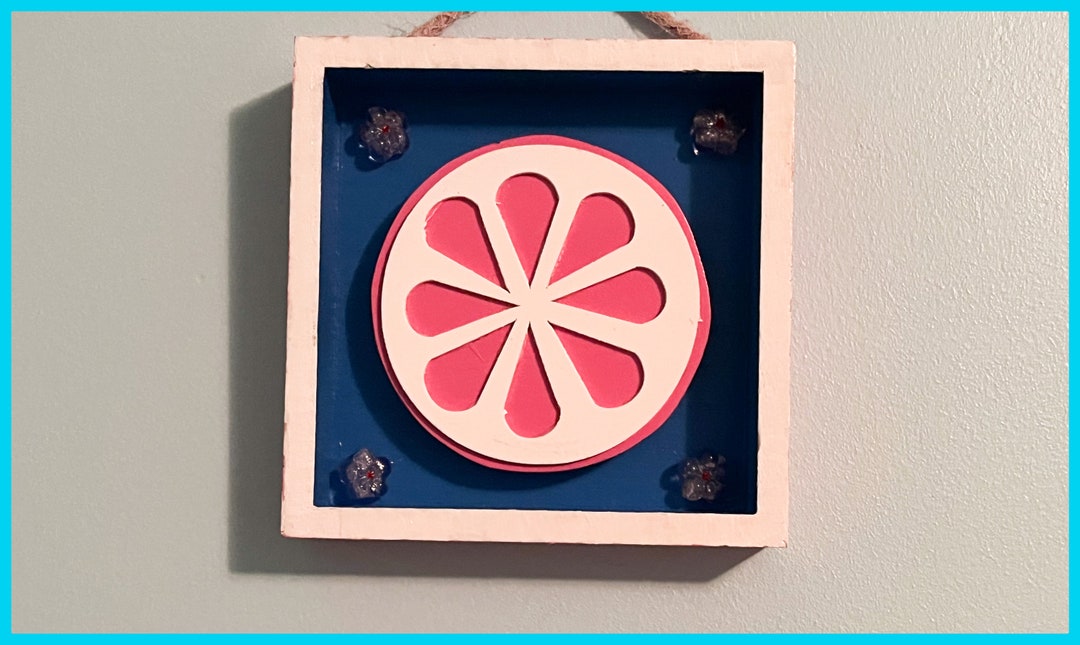 Grapefruit Slice Shadow Box Wall Hanging - Etsy